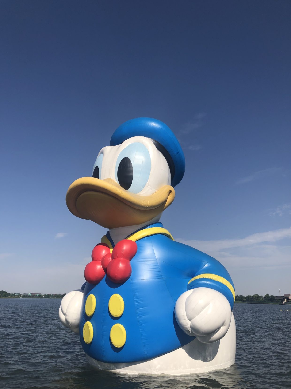 Peer Review for Pod 10 – SainaG